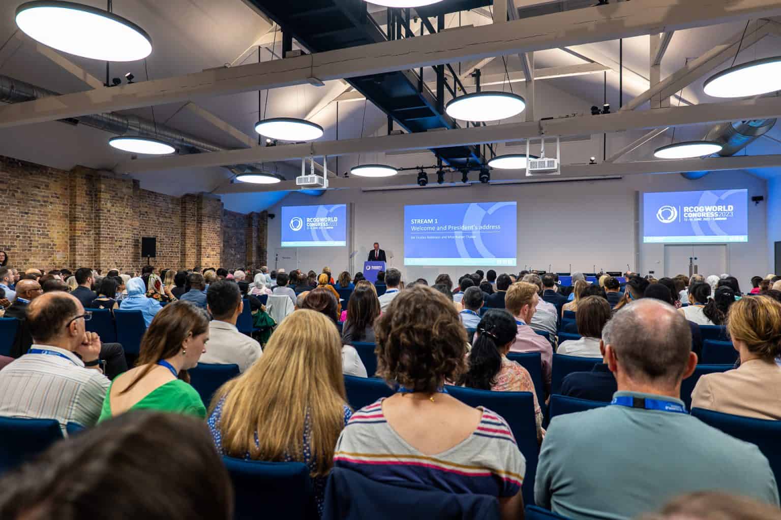 Professional Conference Organiser - Rapiergroup